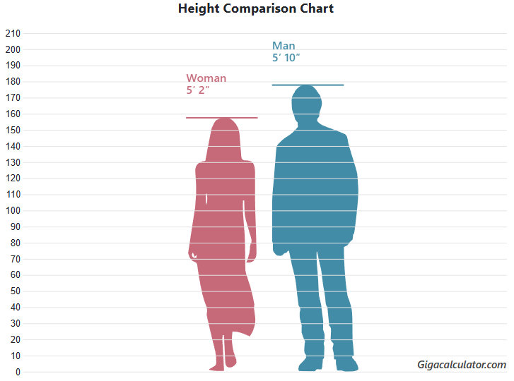 Height Comparison With Visual Chart 